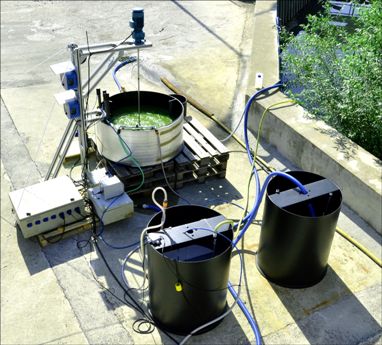 Project phases – AlKoSol — Biotechnological potential of selected ...