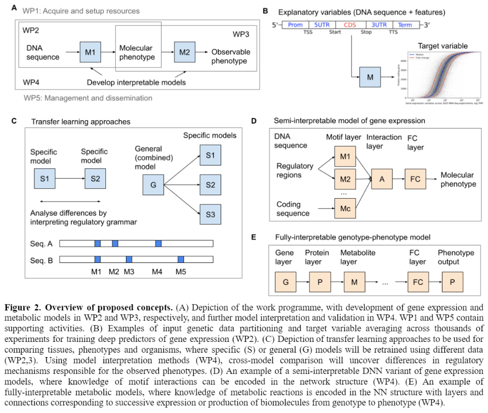 Project phases – SysReg — Systems biology informed deep learning for ...